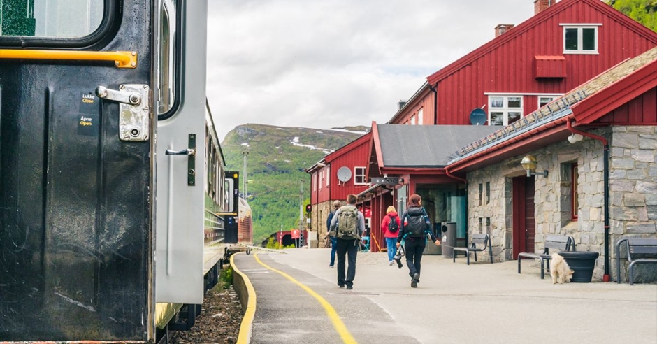 Myrdal, Norwegen – was du vor deinem Besuch wissen solltest